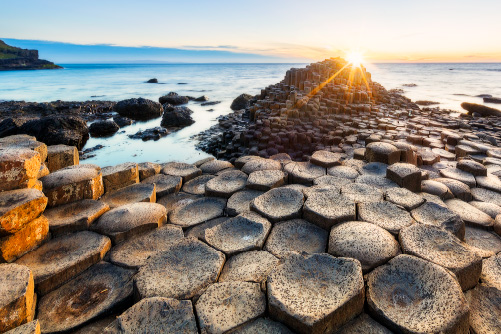 Collections | Virtual Microscope